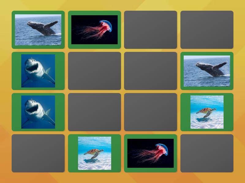sea animals - Matching pairs