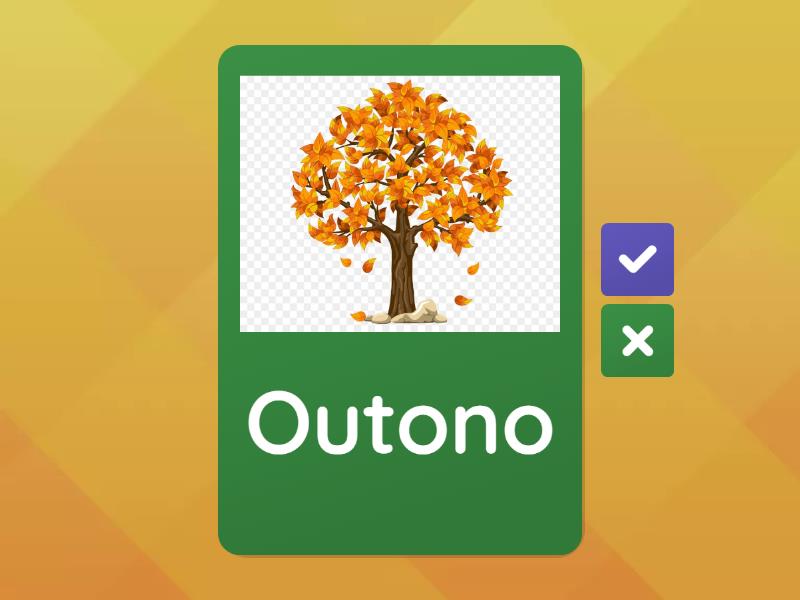 Estações do Ano - Flash cards