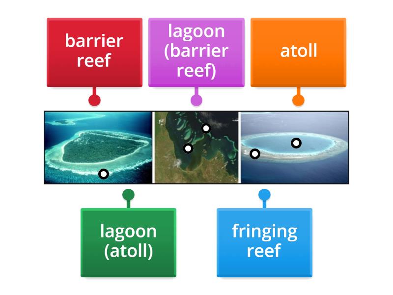 Reef types - Labelled diagram