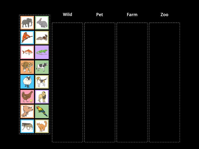 Animals Classification - Categorize
