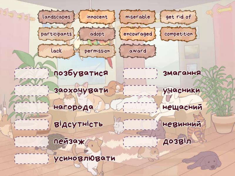 Stray dog - Match up