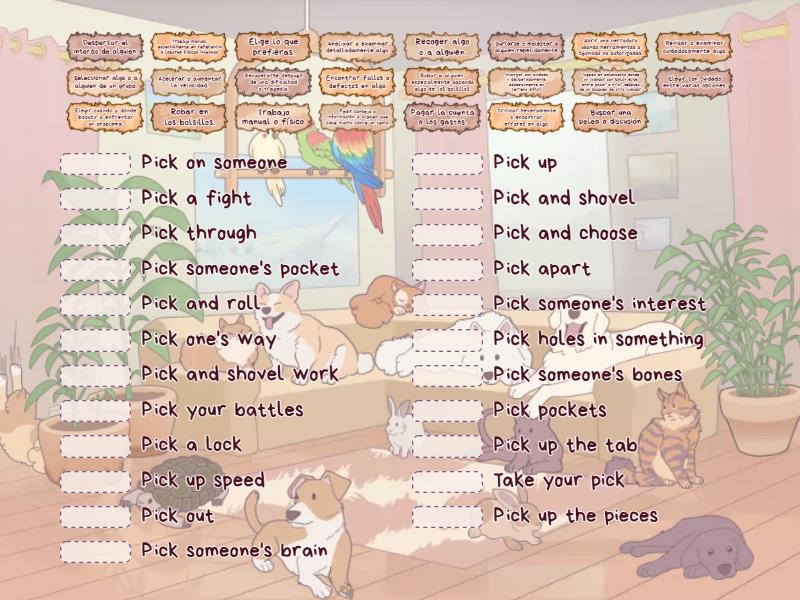 PICK EXPRESSIONS - Match up