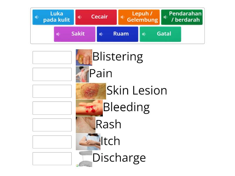 2023 YEAR 2 : LESSON 4 - DERMATOLOGY (WORDS & PHRASES) - Match up