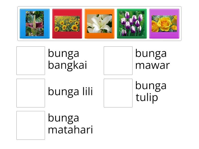 JENIS-JENIS BUNGA - Match up