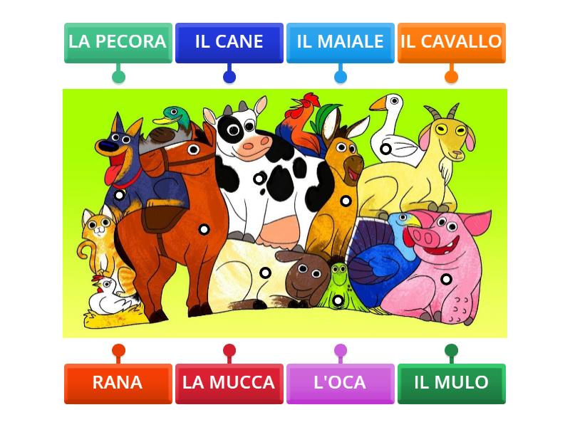 GLI ANIMALI DELLA FATTORIA - Labelled diagram