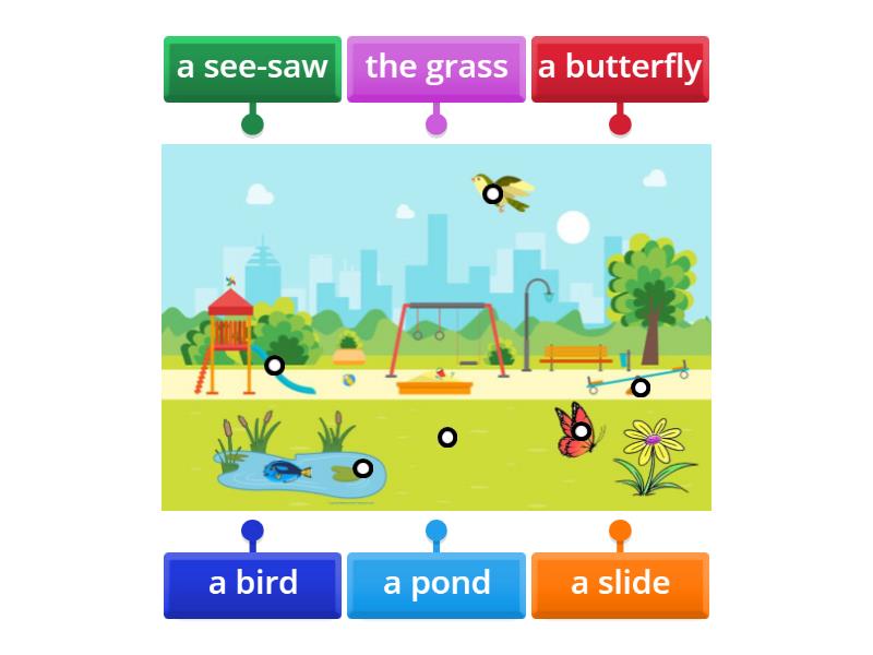Unit 3 - Things in the park - Labelled diagram