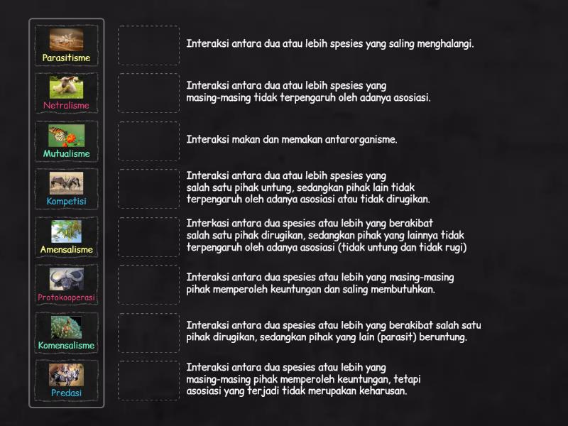 Interaksi Antarspesies (Biologi Kelas X) - Une las parejas