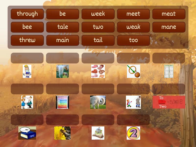 Homophones Part 3 - Match up