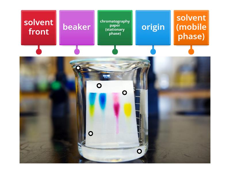 Chromatography - Labelled diagram