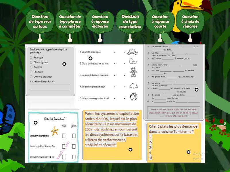 Types de Questions - Labelled diagram