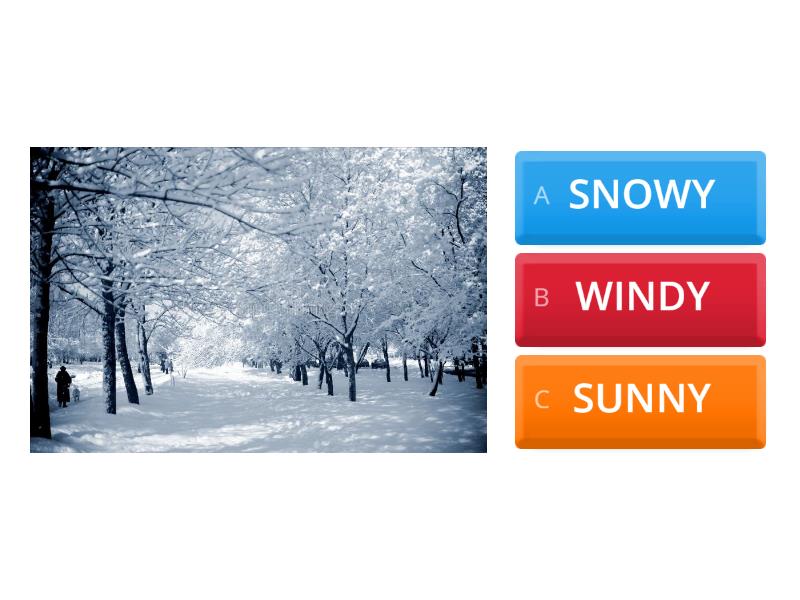 weather dictionary - Quiz