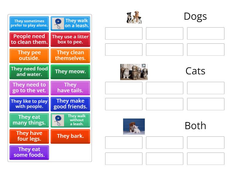 Comparing dogs and cats - Group sort