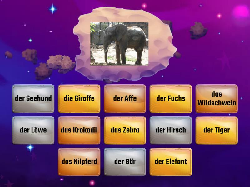 Die Wildtiere - Find the match