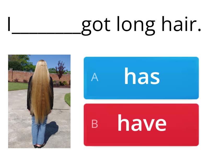 Klasa 4 Have Got Has Got Quiz