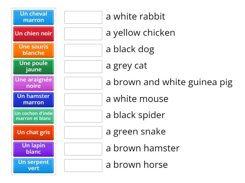Year 4 - As -tu un animal? - Match up