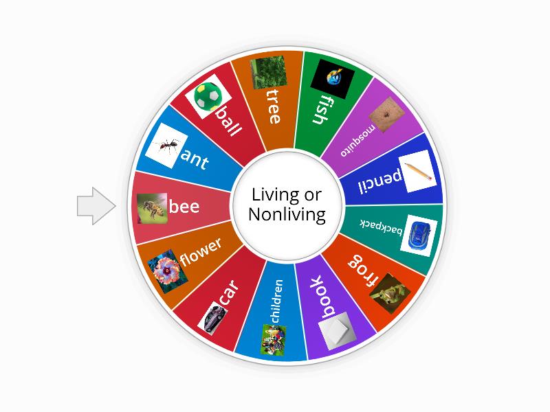 living and nonliving things - Spin the wheel