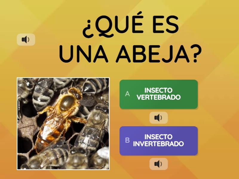 ¿CUÁNTO SABEMOS SOBRE LAS ABEJAS? - Quiz