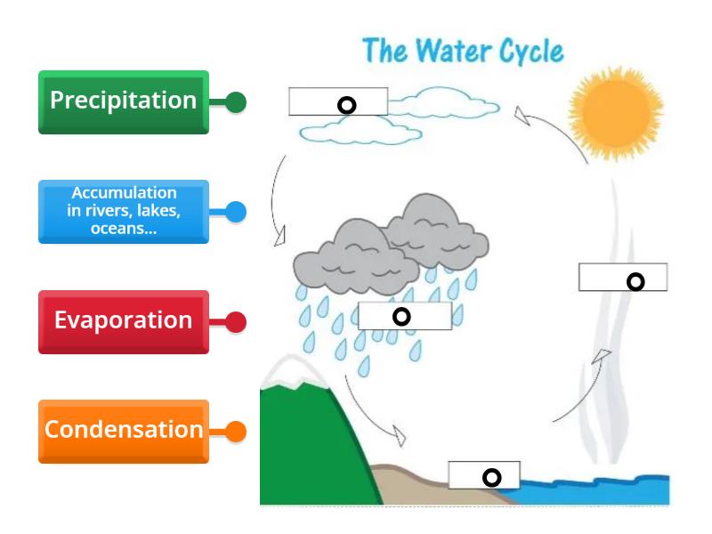 Water cycle - Labelled diagram