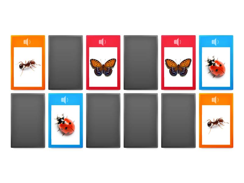 INSECTS MEMORY GAME - Matching pairs