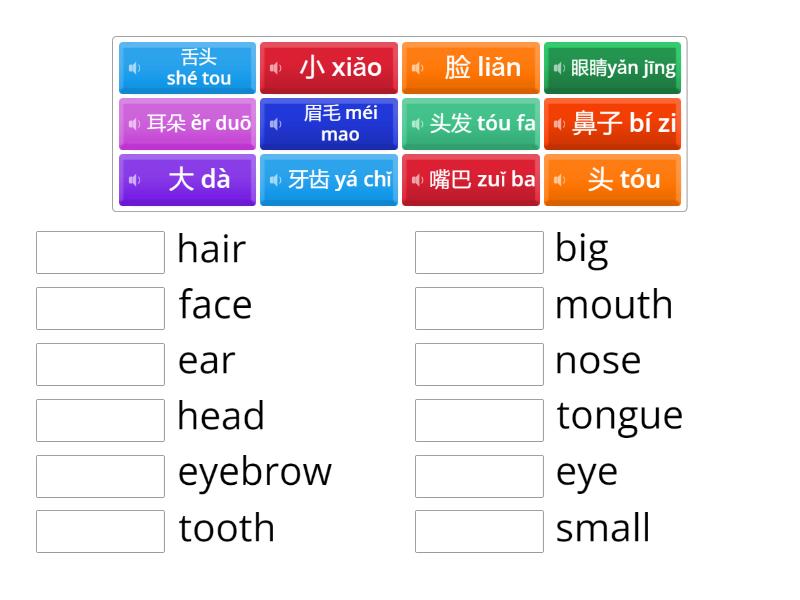 face parts - Match up