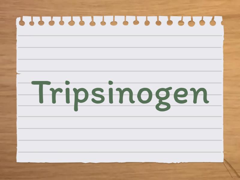 Enzim Pencernaan Manusia - Flash cards