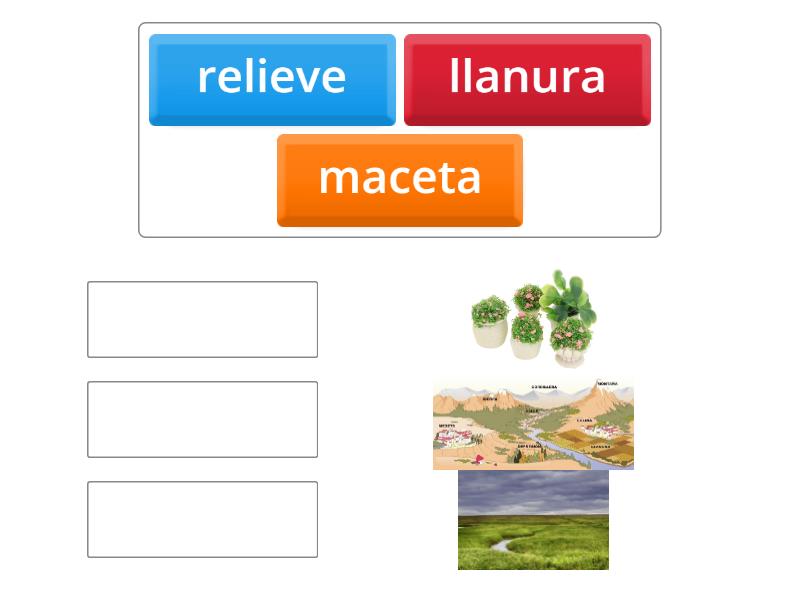El medio ambiente - Match up