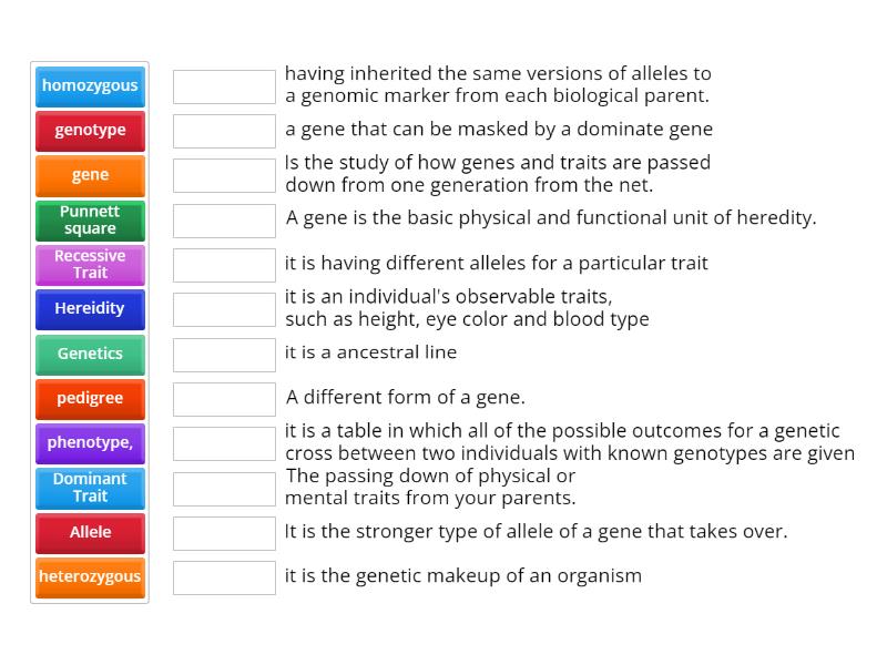 Heredity and Genetics - Match up