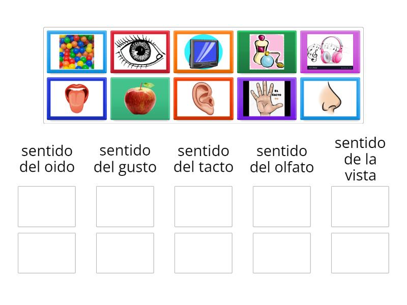 Los Sentidos - Group sort
