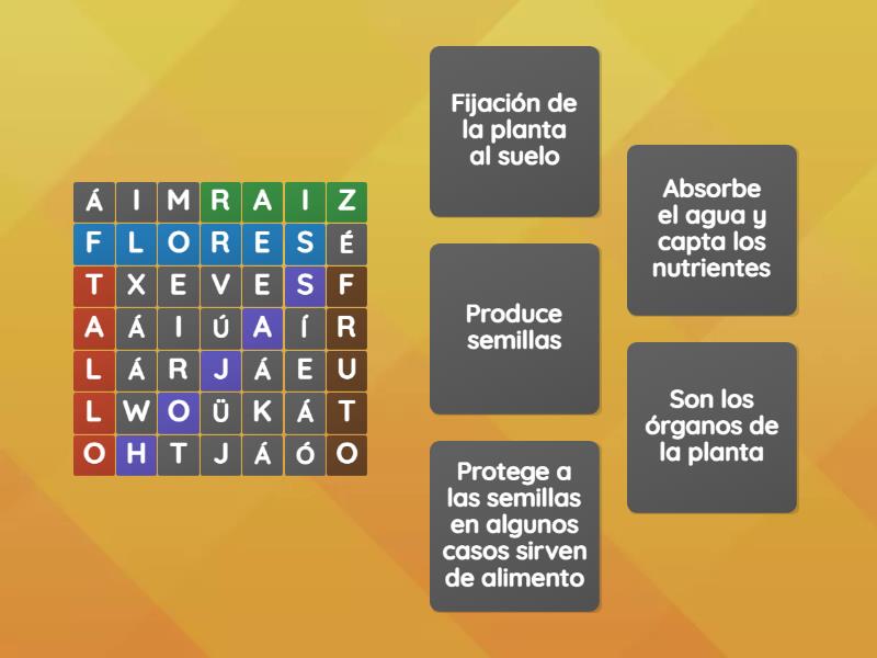 PARTES DE LA PlANTA - Sopa de letras