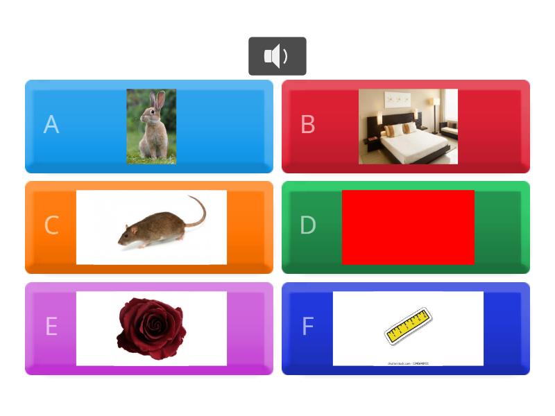 Letter Rr - Quiz
