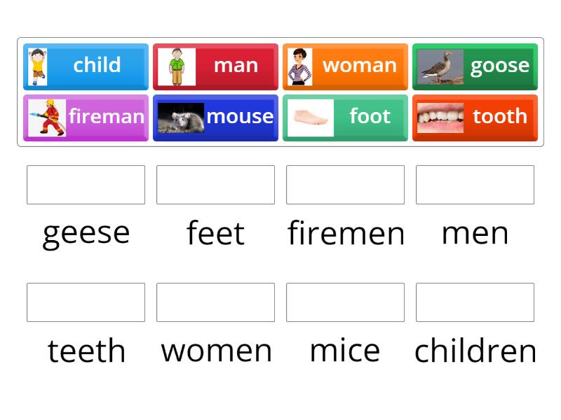 Irregular Plurals - Match up