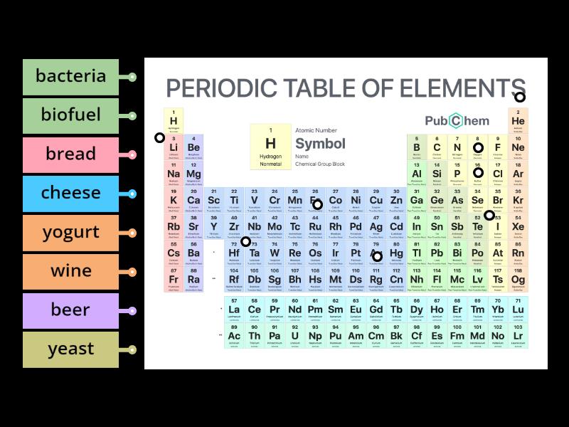 Uses of Microbes - Labelled diagram