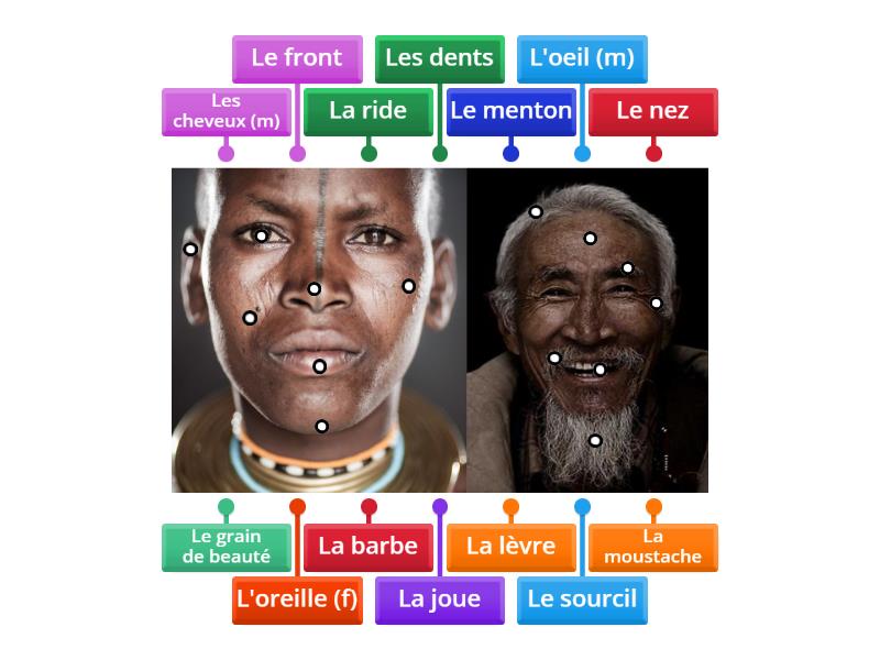 Les parties du visage - Labelled diagram