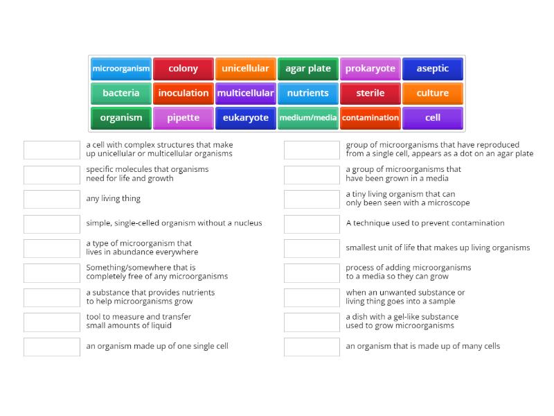 Unit 1 Microbiology - Match up