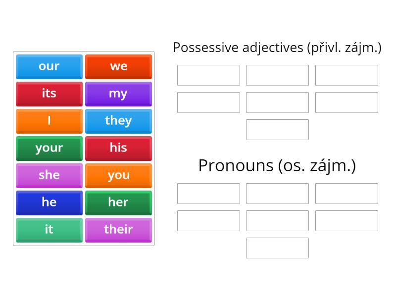 E+2, Starter Unit - pronouns & possessive adjectives - Group sort