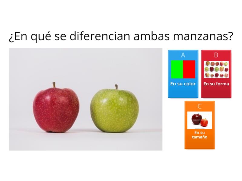 Semejanzas y Diferencias - Test