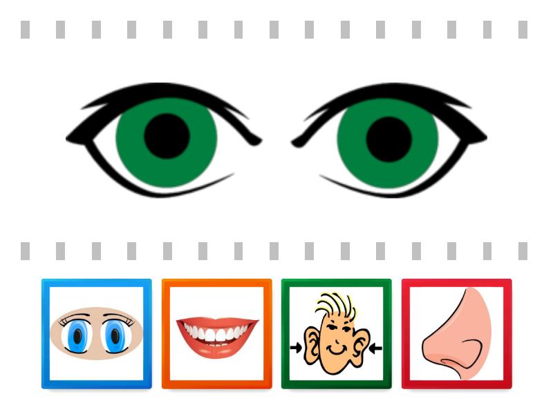 Unit 3 Find & Say - Find the match