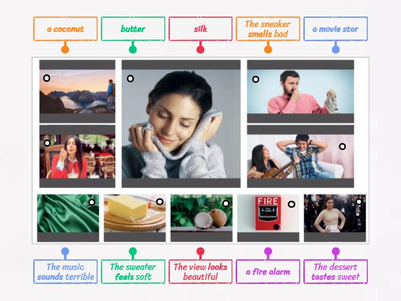 PRE-INTERMEDIATE 1 10489 27-08 (sensory verbs) - Labelled diagram