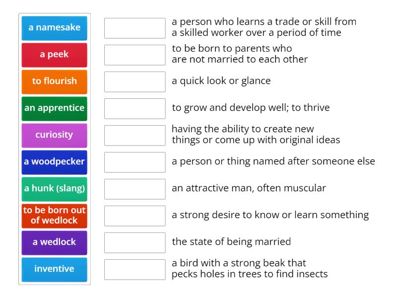 genius vocabulary:) - Une las parejas