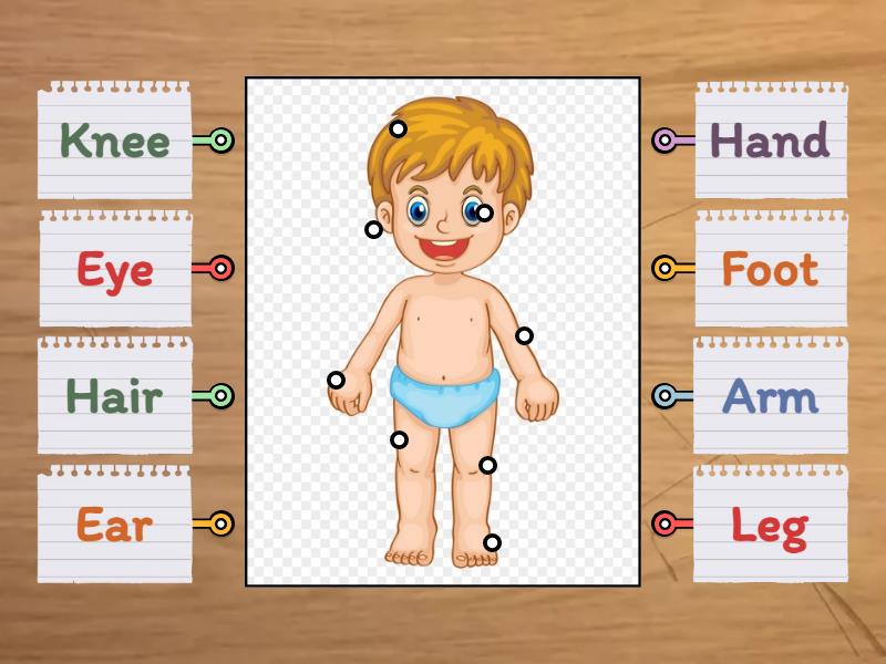 Parts of my body - Labelled diagram