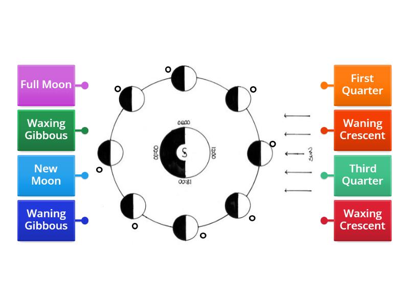Phases of the Moon Visualize Challenge - Labelled diagram