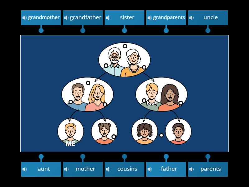 Family Members - Labelled diagram