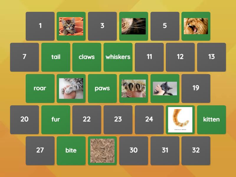 Wild Cats - Matching pairs