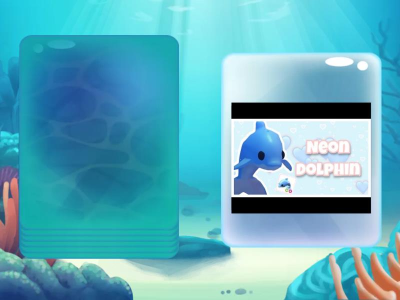 dolphin - Random cards