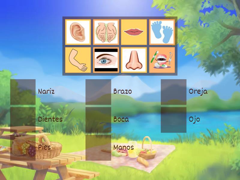 Partes del cuerpo. - Match up