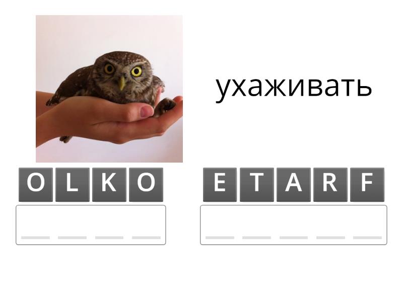 lesson 3 look after animals - Anagram