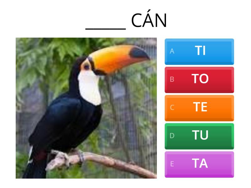 Lee y completa utilizando las siguientes sílabas. - Quiz