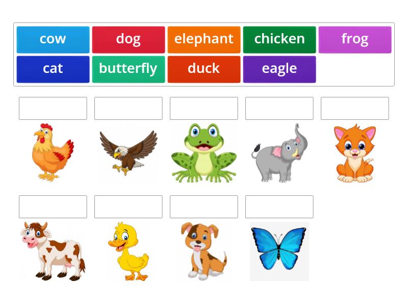 animals 3 grade - Match up