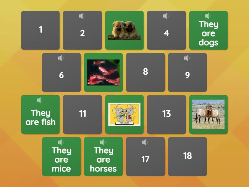 Kid's box 1 Unit 5 Pets Plural - Matching pairs