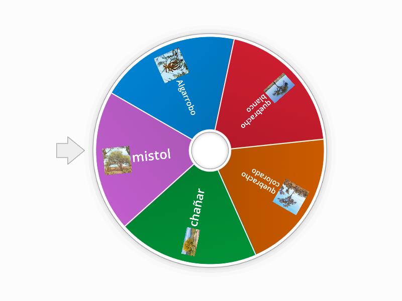 Flora autoctona - Spin the wheel